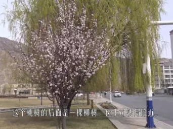 骑行中国01