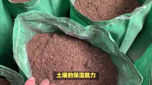 稻壳炭有什么作用?稻壳炭适合什么植物