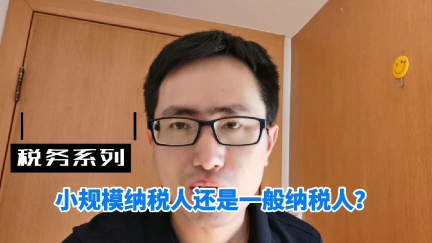 小规模纳税人还是一般纳税人 #税务筹划 #公司 #财务 #增值税