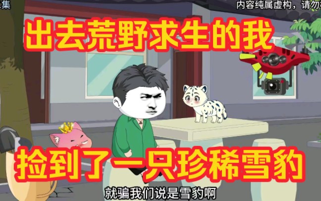 出去荒野求生的我,捡到了一只珍稀雪豹。(沙雕动画合集)
