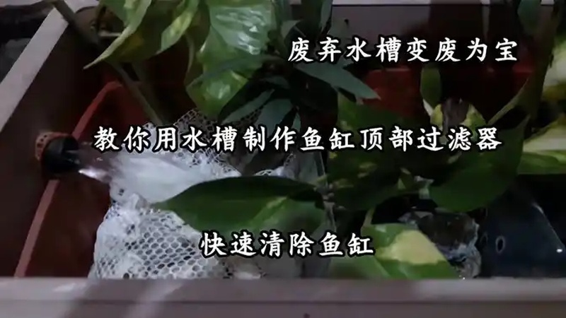 教你用水槽制作鱼缸顶部过滤器,快速清除鱼缸,简单便宜,特实用