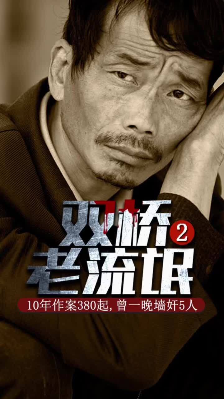 双桥老流氓案10年侦破全过程第二集真实案件大案案件纪实