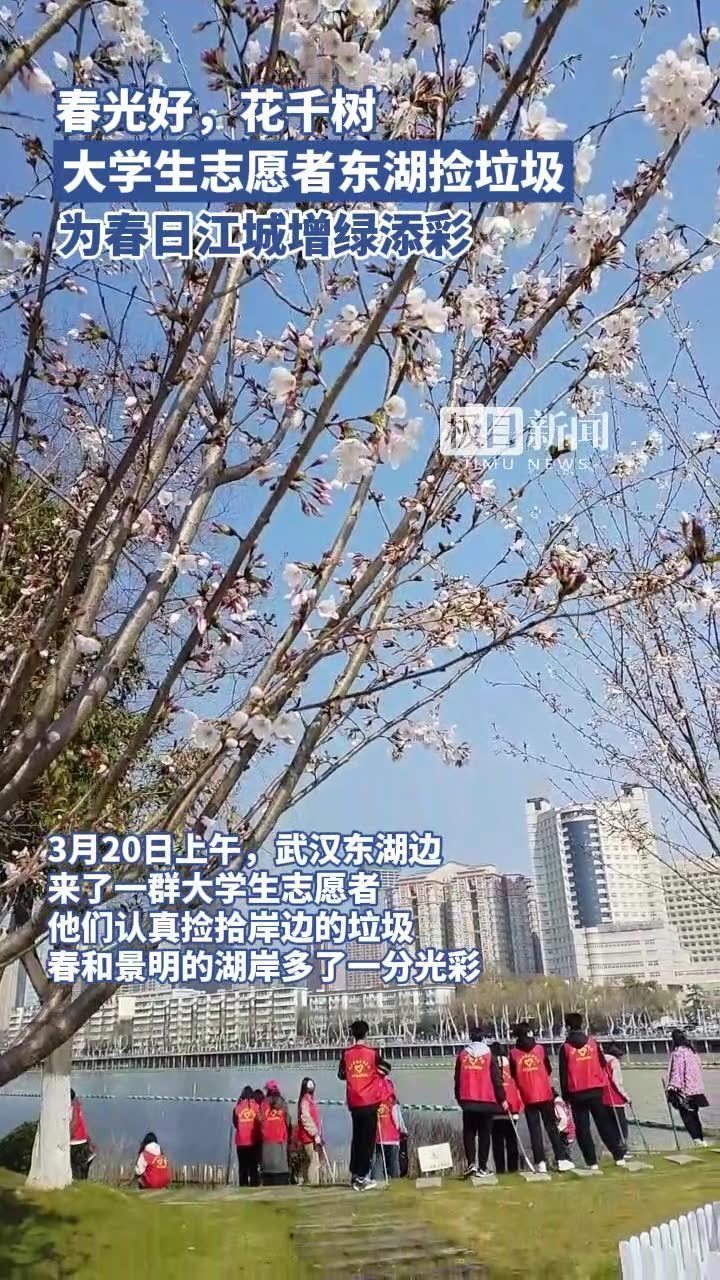 春光好,花千树,大学生志愿者为东湖增绿添彩