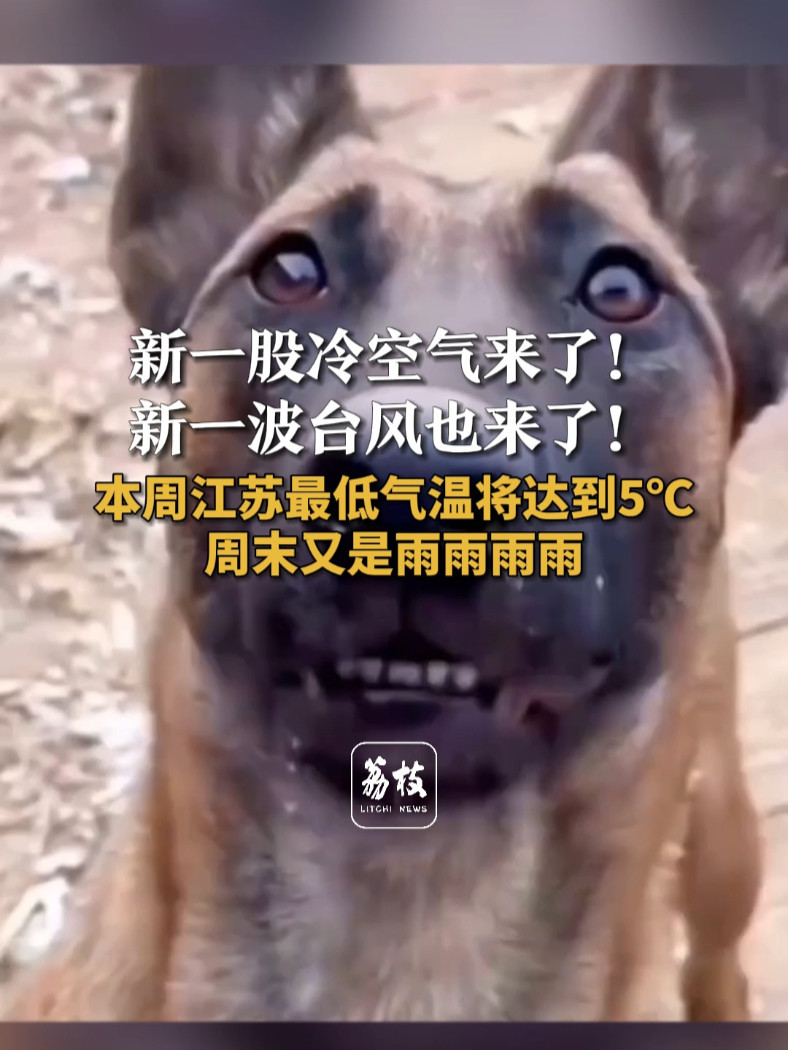 新一股冷空气来了!新一波台风也来了!周末又是雨雨雨雨