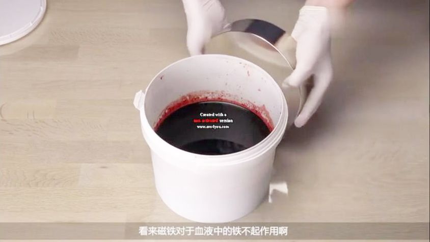 最强脑洞:超强钕磁铁能否对含铁的血液产生作用