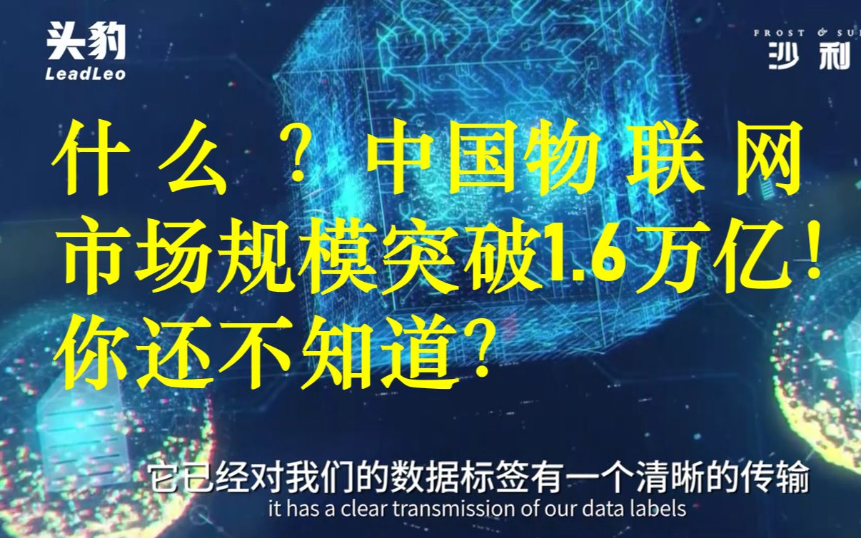 【头豹】物联网如何做到万物互联?物联网将彻底改变生活吗?实例带你...