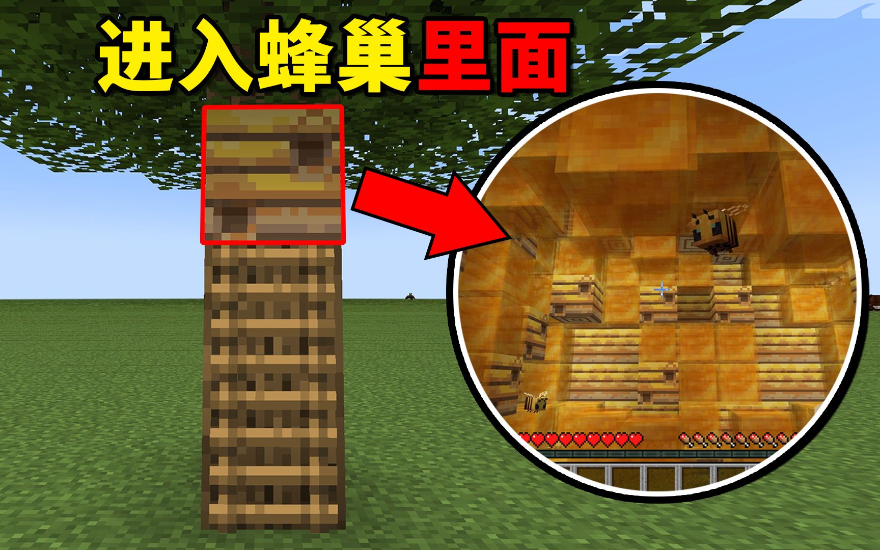 我的世界:蜂巢里面原来是这个样子!教你如何进入蜂巢!_哔哩哔哩bilibili...