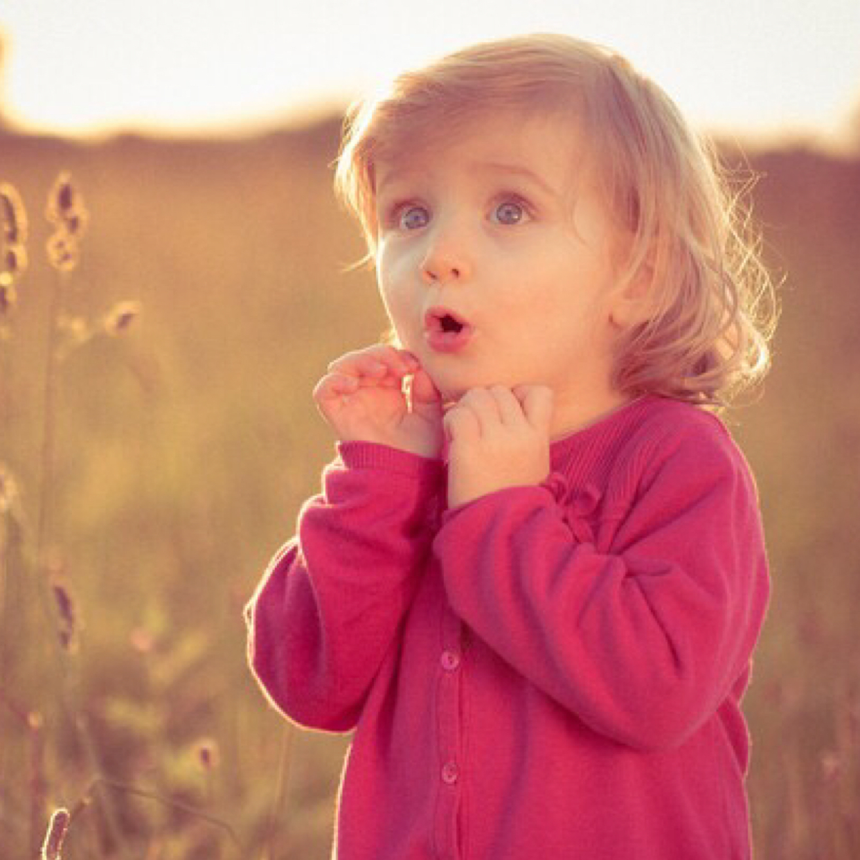 我是你的眠眠冰 