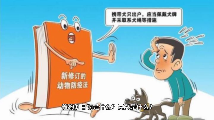 养狗的意义和目的是什么,资深养狗人为您逐一分析