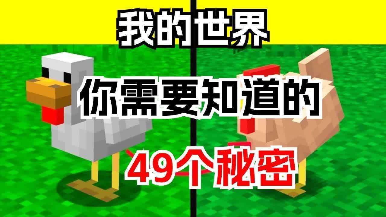 我的世界:你需要知道的49个秘密合集