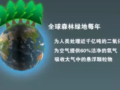 16.森林的作用 人教版七年级生物上册