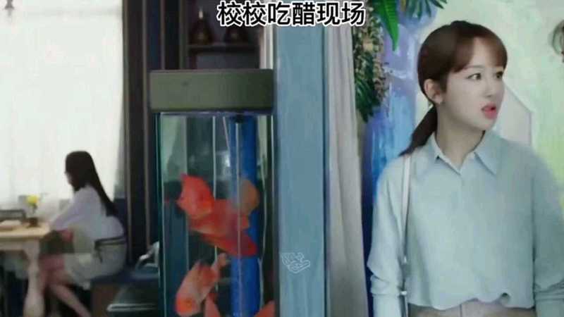顾医生表白林之校