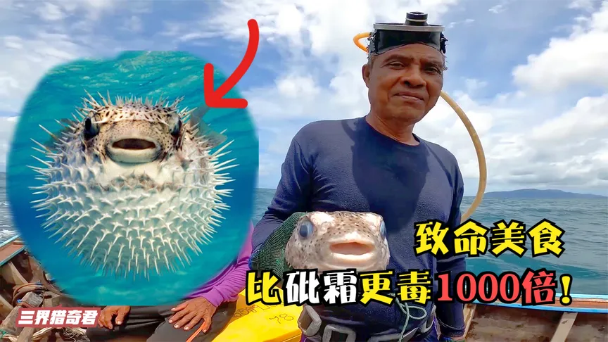 纪录片:探秘印度洋上捕鱼人,最爱的食物比砒霜更毒1000倍,牛人