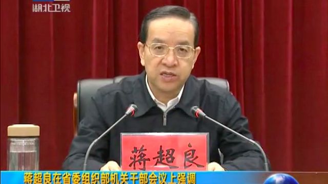蒋超良强调 践行新时代党的组织路线 提高组织工作科学化水平