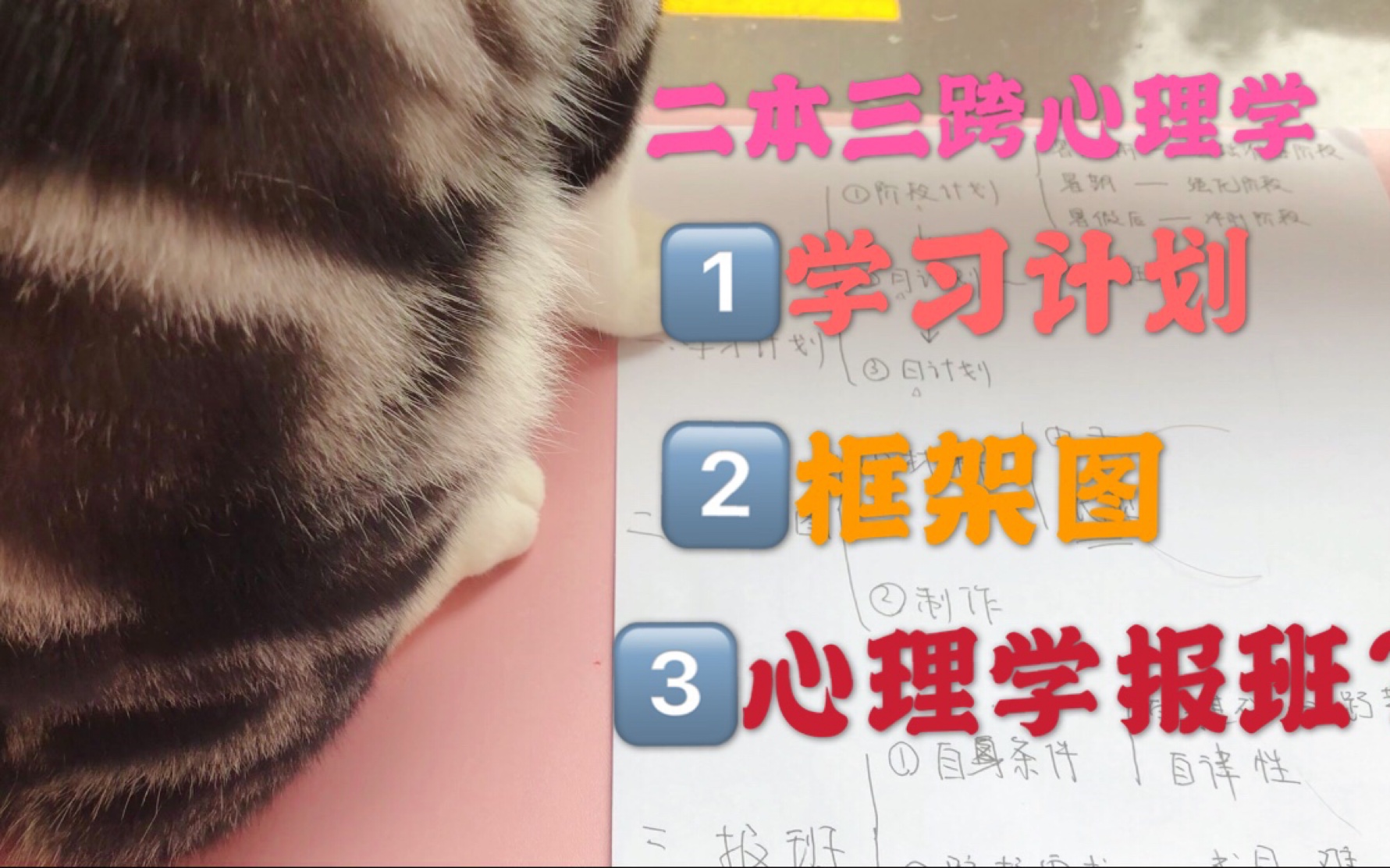 心理学考研/学习计划制定/框架图制作/报班经验分享