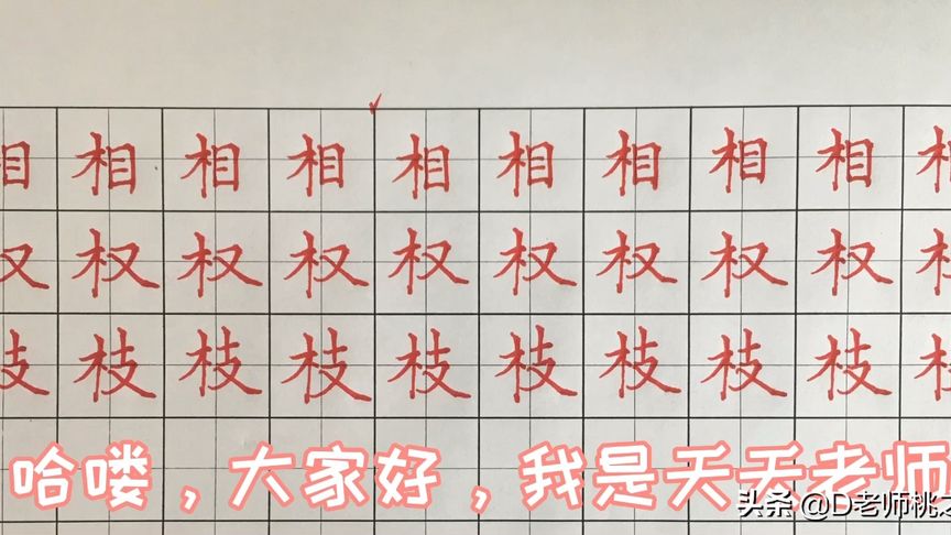 “木字旁”的字,你知道哪些?有点不好写哦