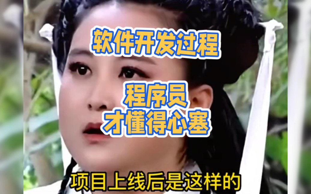 项目开发真相,这才是软件开发,项目的真实写照。#内容过于真实 #搞笑 ...