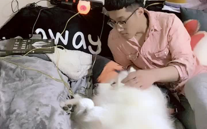 开完药埋的滞留针 回家输液 能舒服点 今天不了 得看着它 没啥心情 还...