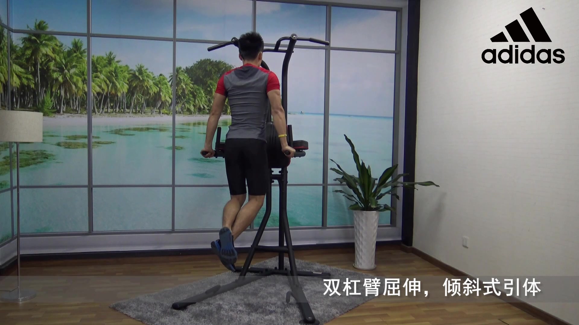 #健身 Adidas10260单双杆使用分享