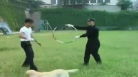 如何训练小狗让他在固定的位置大小便