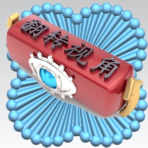 翻转视角 