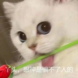 巫喵呜王 