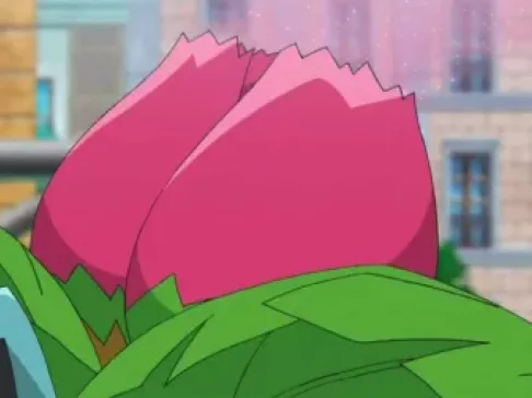 精灵宝可梦剑盾:03