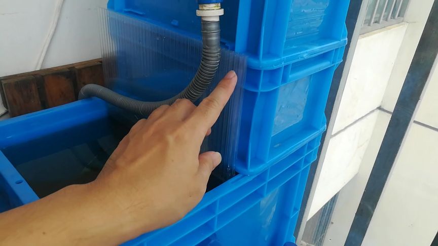宇哥阳台周转箱鱼池过滤部分拆解,教大家简单DIY也能水清鱼肥