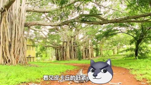 千万不要得罪皮卡丘,要不然肯定会变成渣渣灰,奇幻惊悚电影