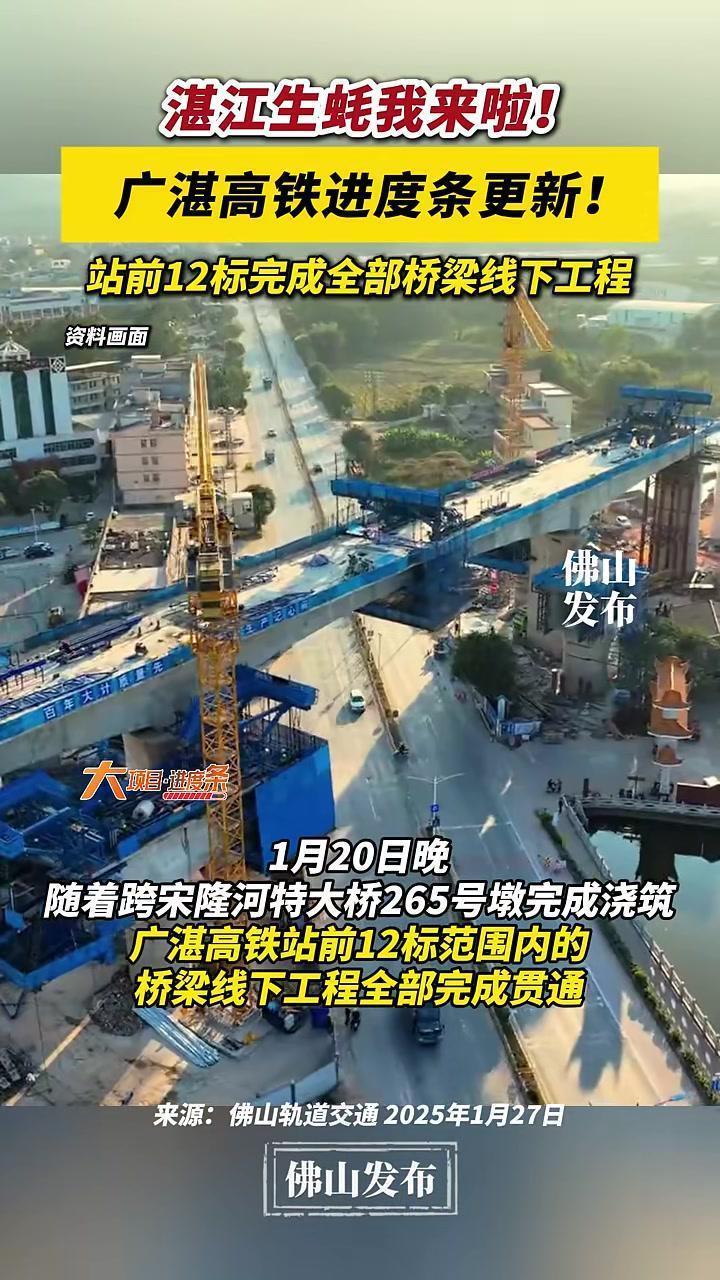 湛江生蚝我来啦!广湛高铁进度条更新,站前12标完成全部桥梁线下工程!...