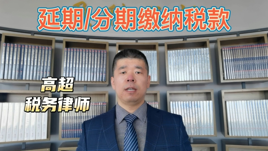 延期/分期缴纳税款