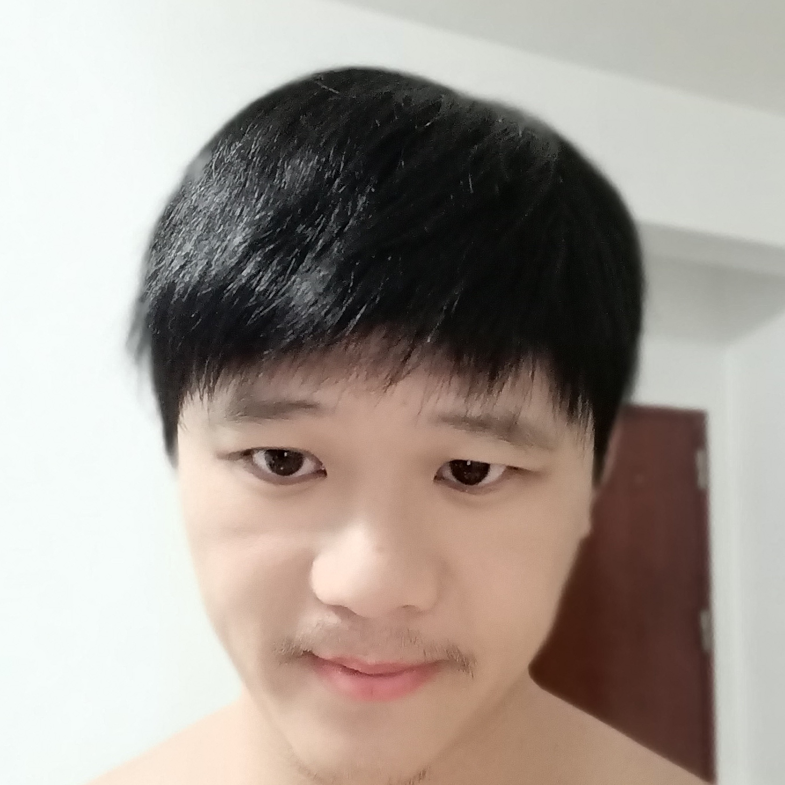 视频合成师力哥 