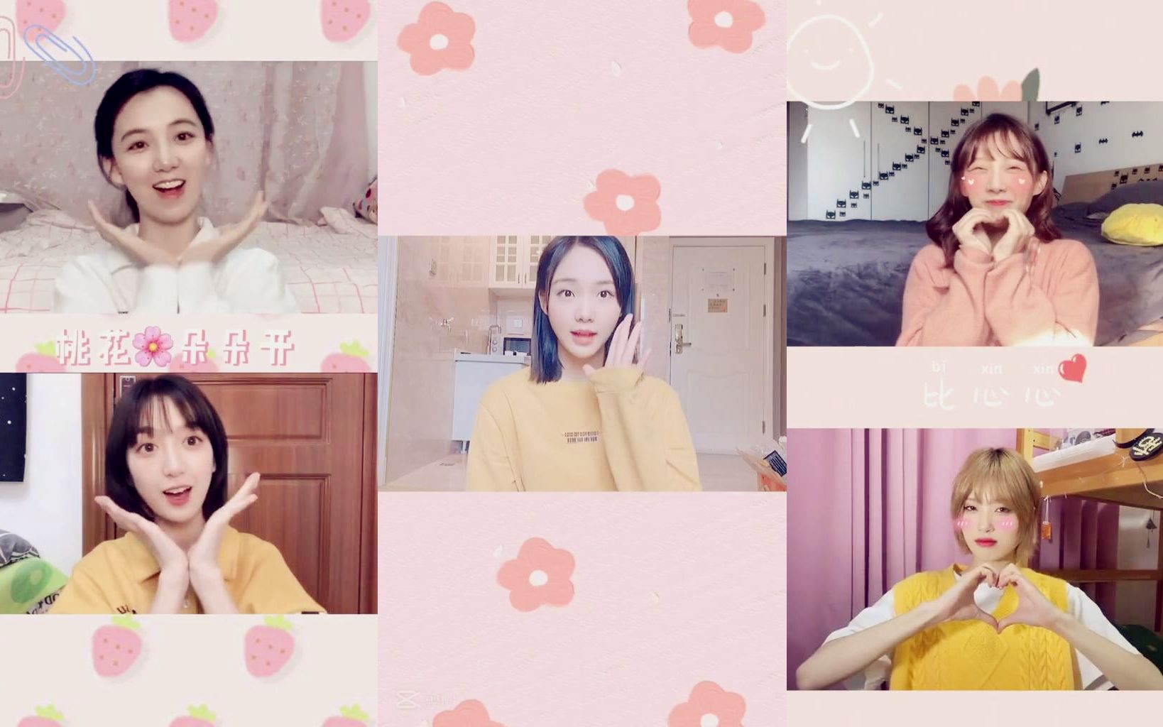 手势舞《桃花朵朵开》慢动作教学