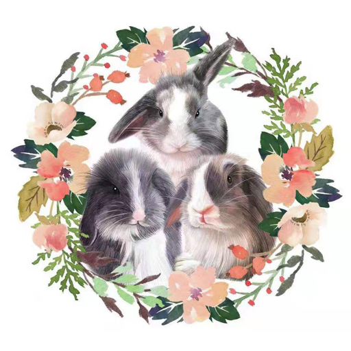 小兔老师的日语教室 