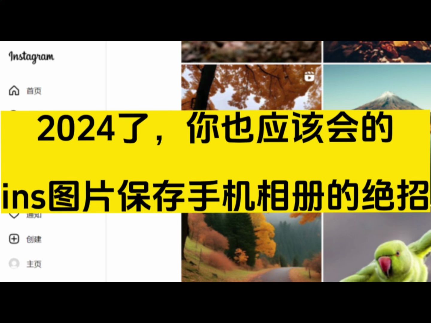 ins图片如何保存安卓苹果手机,ins视频下载的方法