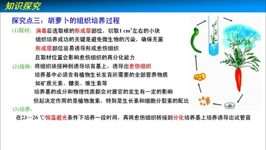 2.1植物组织培养技术