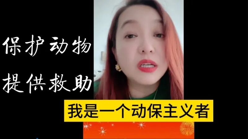 潮妈的精彩点评,恶犬伤人事件,治理流浪狗或猫,真正的动保主义