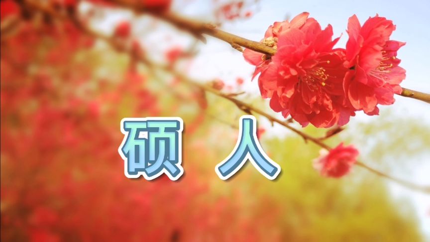 朗读《诗经•国风•卫风•硕人》