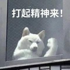不喝凉水908 