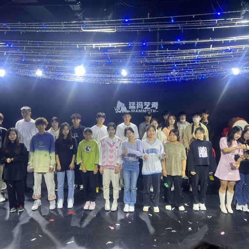 郑州猛犸艺考-李老师 