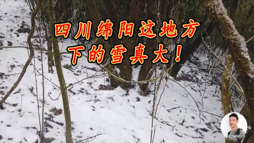 四川绵阳山上下的雪真大,简直分不清东南西北,毛哥差点迷路!
