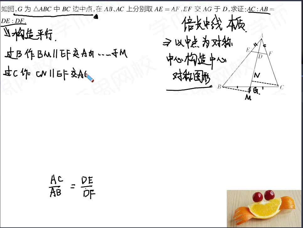 比例和比例线段2