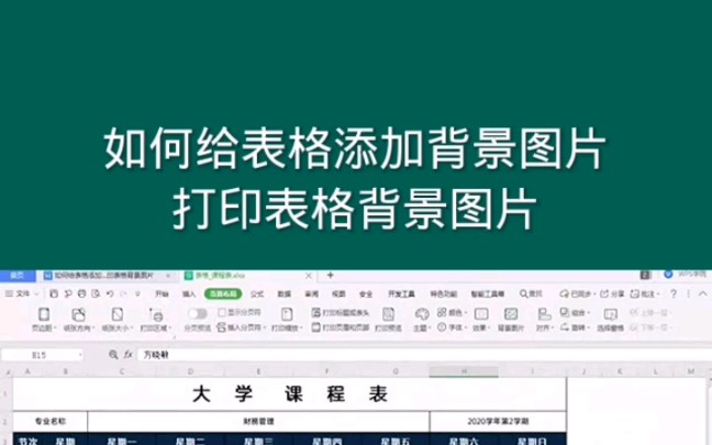 如何给表格添加背景图片,打印表格背景图片, Office Excel电子表格