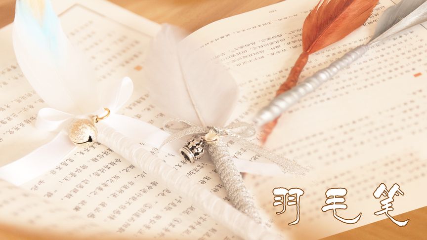 「饲·羽毛笔教程」使用这支羽毛笔,据说能召唤中古骑士…