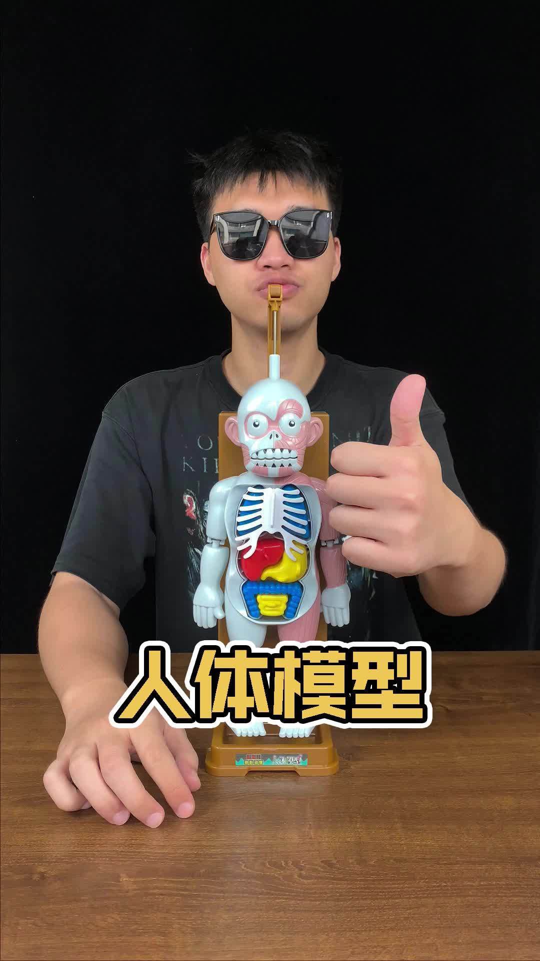 你们肯定没有玩过这样的人体模型!