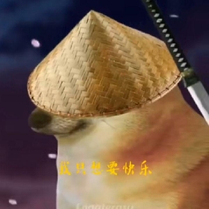 世上最好玩儿我的世 