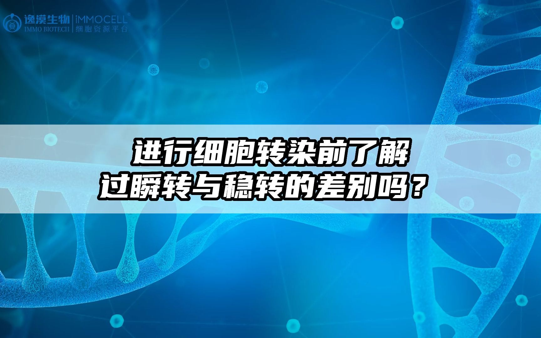 进行细胞转染前,了解过瞬转与稳转的差别吗?