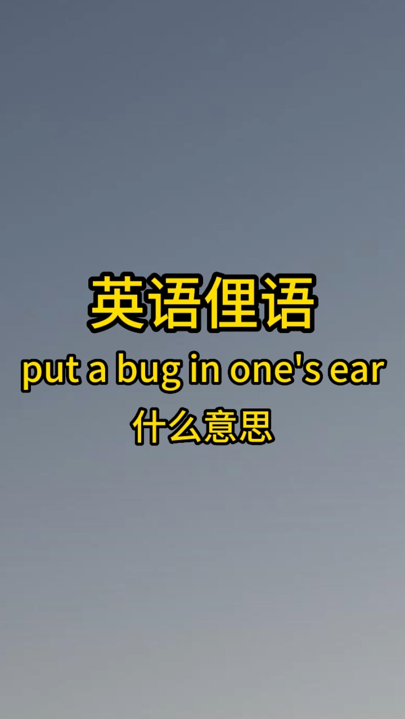 #英语俚语 英语俚语学习 put a bug in one's ear什么意思 #英语每天一...