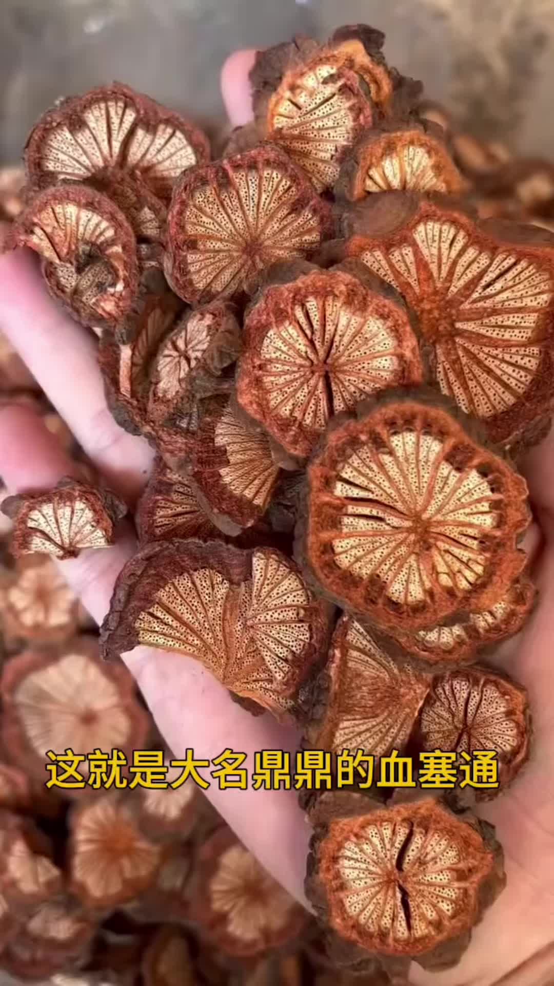 血塞通 #血塞通 #红藤片 #血塞通泡水 #血塞通有什么作用