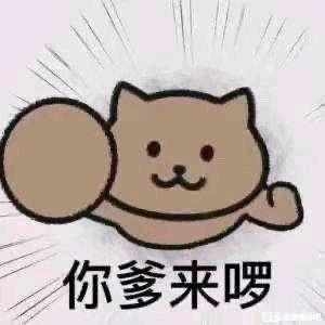 ica7 